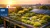 ISH 2027: „Green Roofs & Facades“ als Zukunftsplattform
